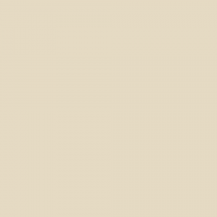 SprayMAX - Beige Colors – 66 Auto Color