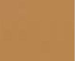 Sedona Tan - Automotive Aerosol Spray Paint - SPM-15022 – 66 Auto Color