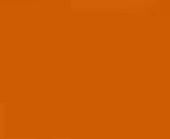 Signal Orange - Automotive Aerosol Spray Paint - SPM-894886 – 66 Auto Color