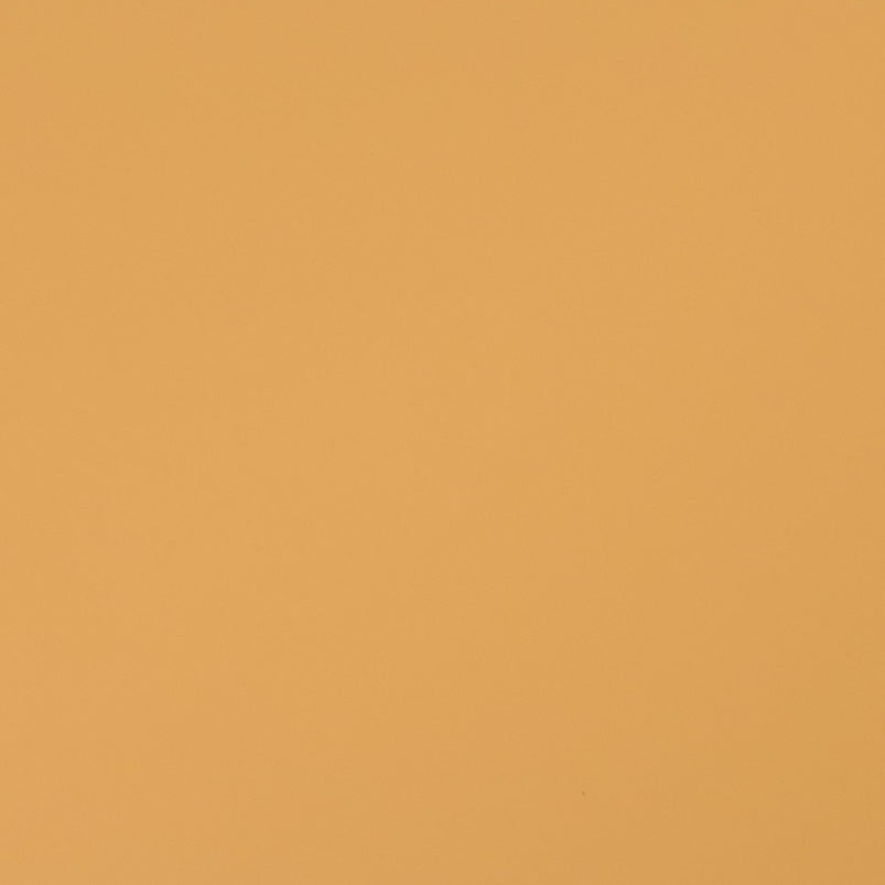 Apricot - Automotive Aerosol Spray Paint - ROB-O0080 – 66 Auto Color