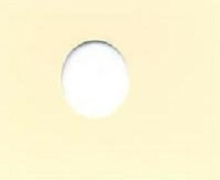 Light Cream - Automotive Aerosol Spray Paint - SPM-801608 – 66 Auto Color