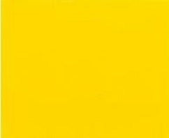 Detonator Yellow - Automotive Aerosol Spray Paint - SPM-740156 – 66 ...